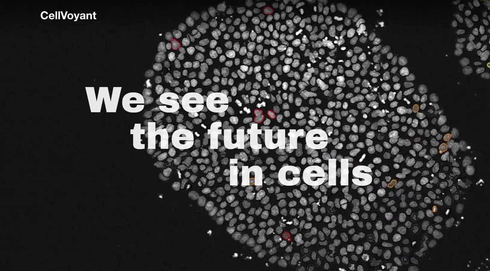 CellVoyant Secures £7.6 Million in Seed Funding to Accelerate Stem Cell Therapy Development ...